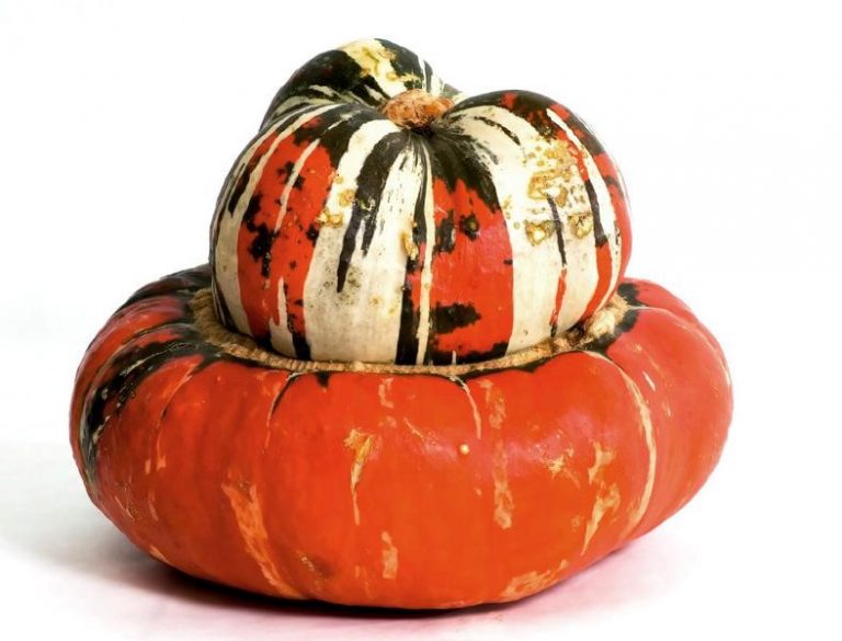Turks Turban squash - Better Food