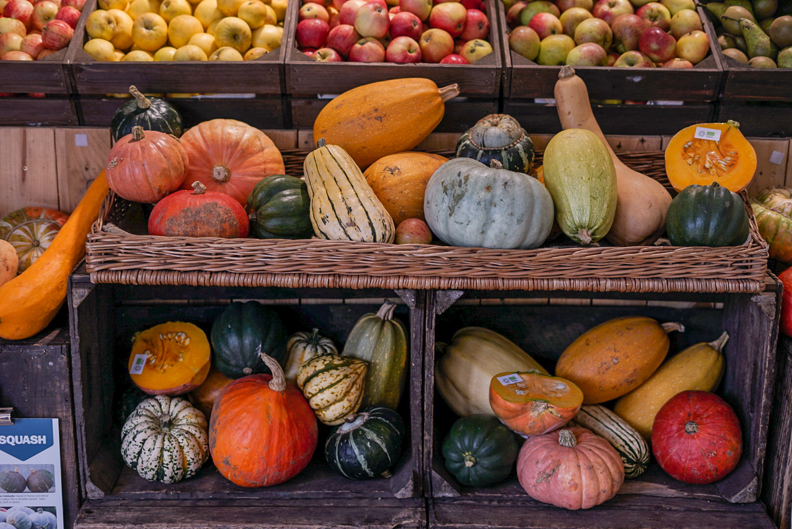 squash guide web - Better Food