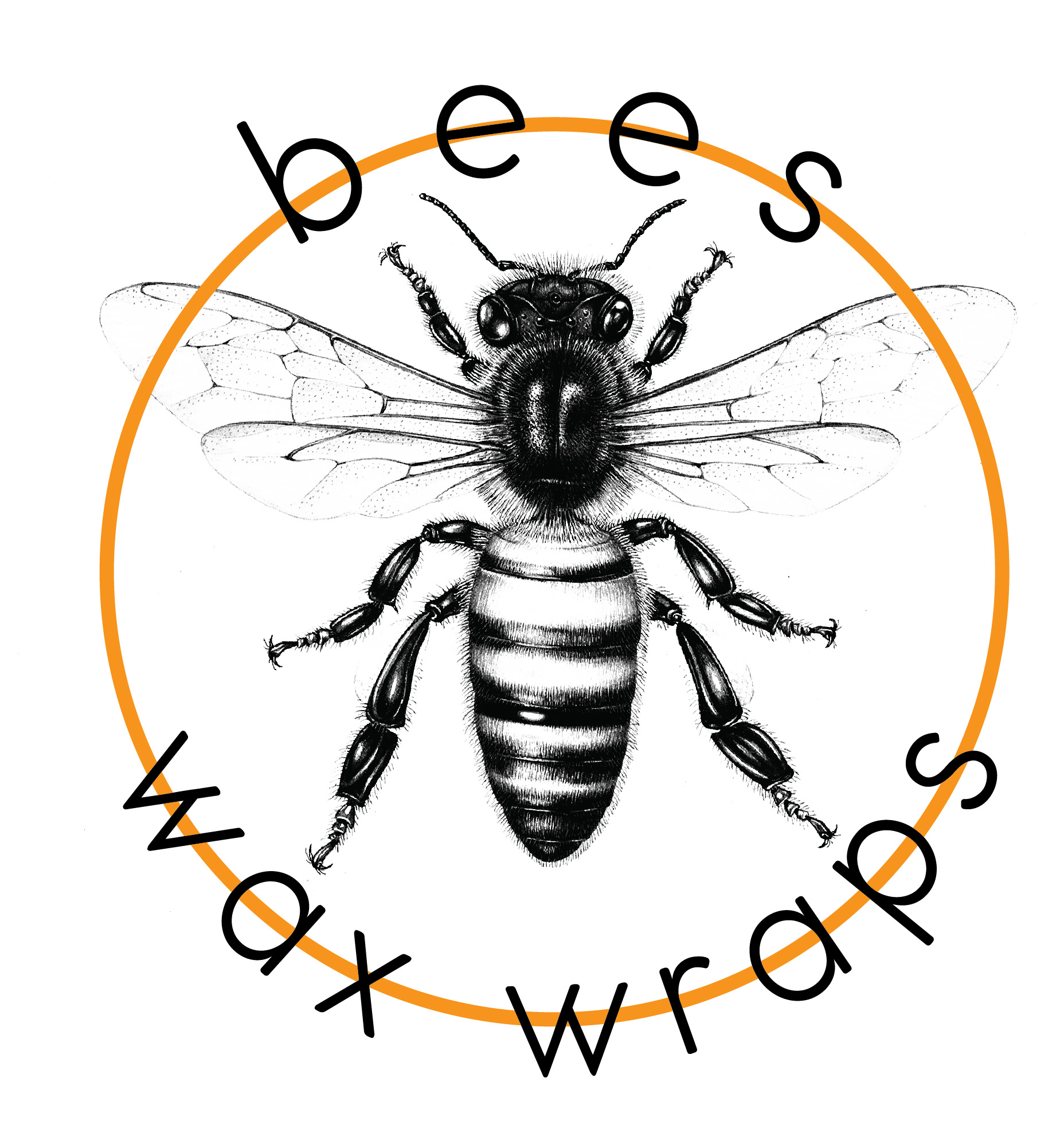 Innovator Story: Bees Wax Wraps - Better Food