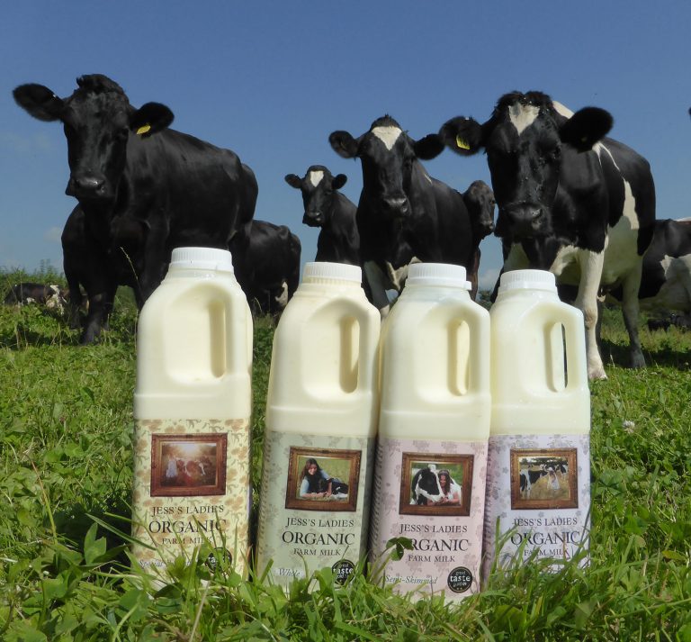 Jess's Ladies Milk bottles small - Better Food