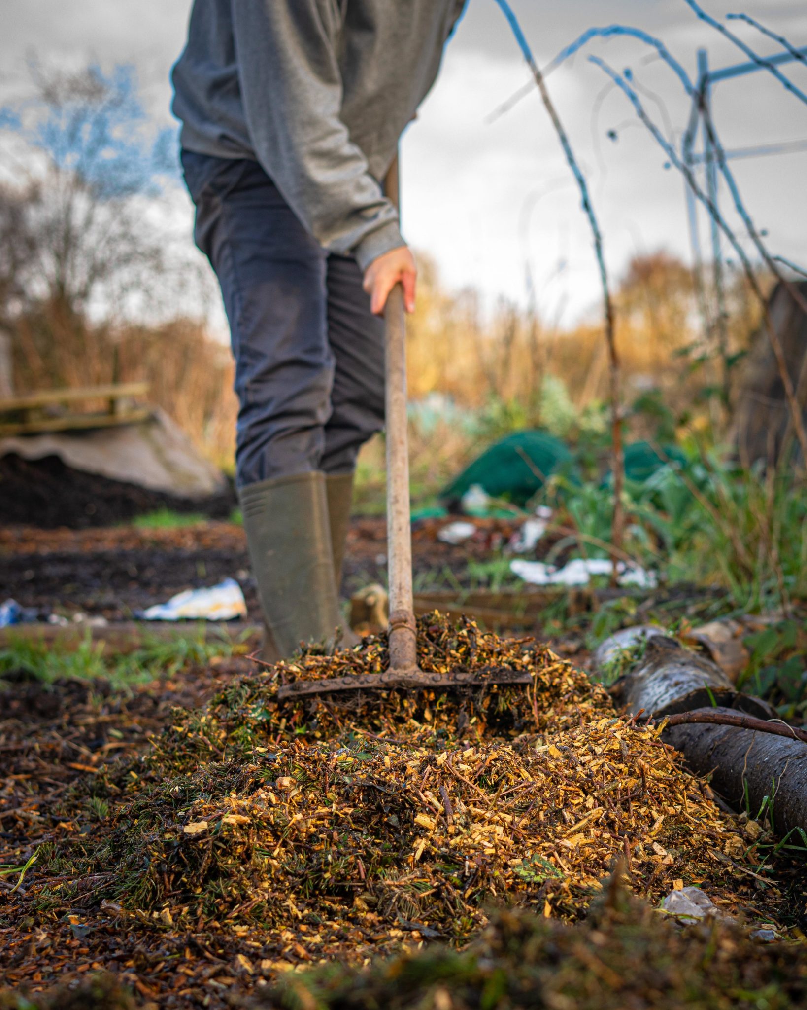 Your guide to growing organically at home - Better Food