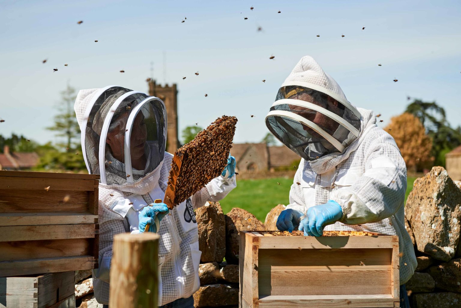 Black Bee: Putting the Bee in British Honey - Better Food